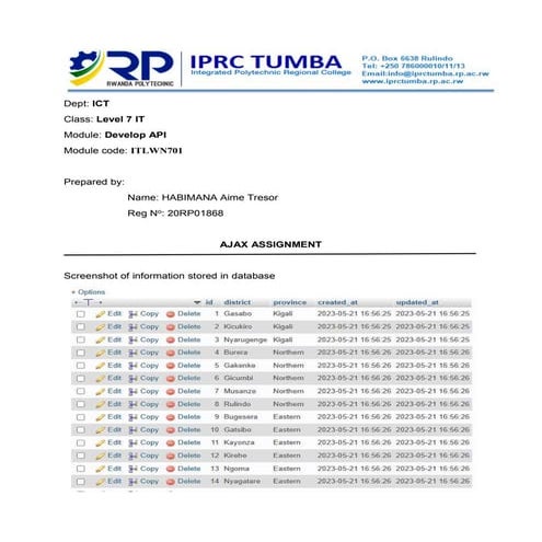 Api Assignment 20rp01868 Docx