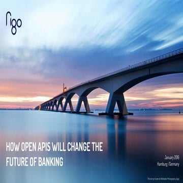 HOW OPEN APIS WILL CHANGE THE FUTURE OF BANKING | PDF
