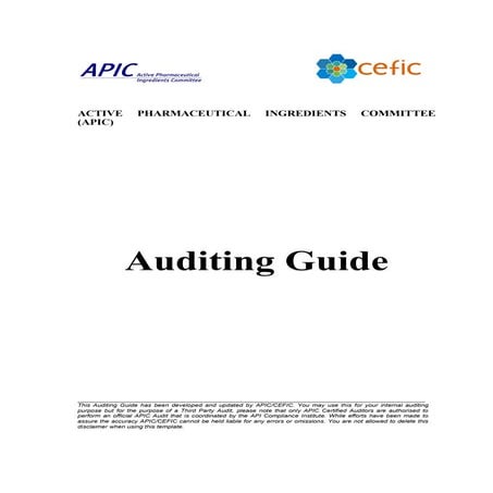 Apic auditing guide_201008 | PDF