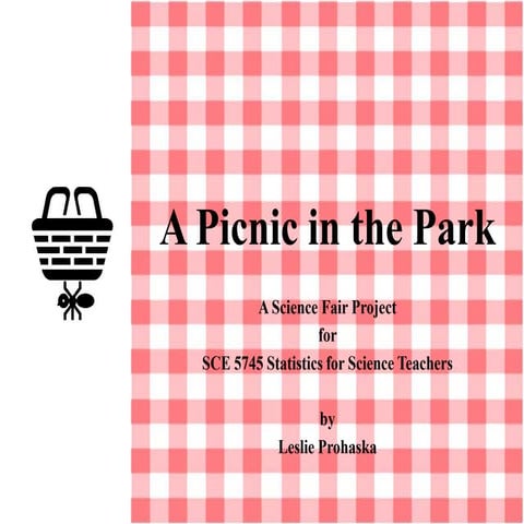 A picnic in the park | PPTX