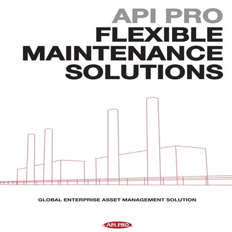 Api company brochure | PDF