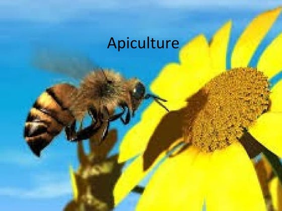 Apiculture: History | PPT