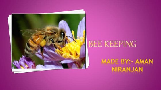 Modern method of apiculture - Apiculture - Beekeeping | PDF