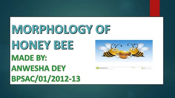 Anatomy and physiology of Honey Bees.pptx