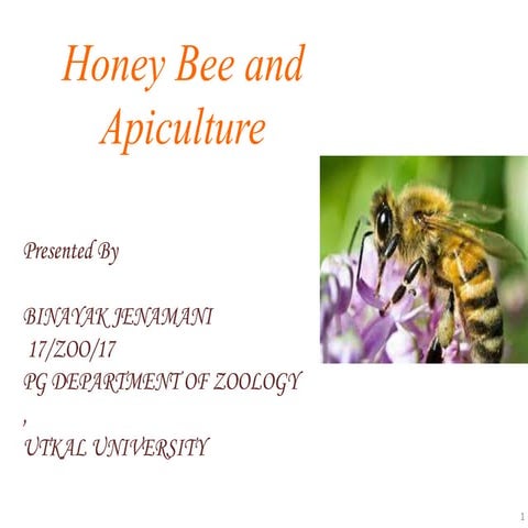 Apiculture | PPTX