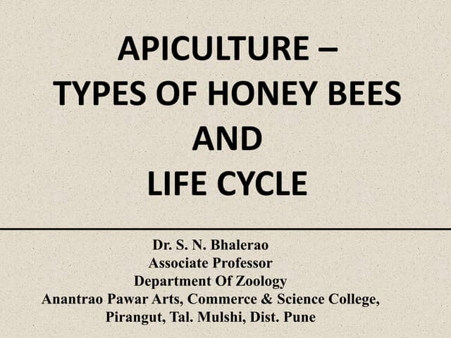 Honey Production & Processing | PPTX