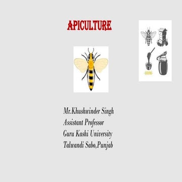 APIARY MANAGEMENT.pptx