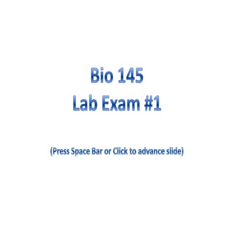 A&P I Lab Exam 1 | PPS