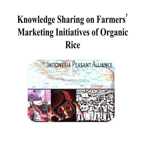 Api Marketing Presentation Organic Rice English | PPT