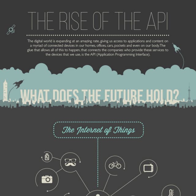 Rise of the API | PDF
