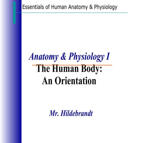A&P Human Body Orientation | PPT