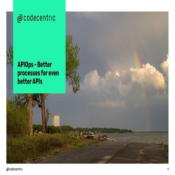 Automated Processes for Even Better APIs | PDF