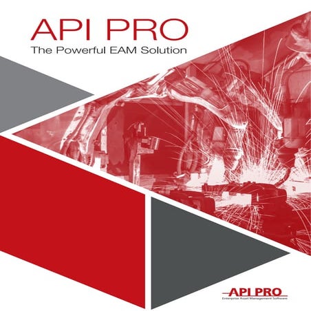 Api pro 2017 | PDF