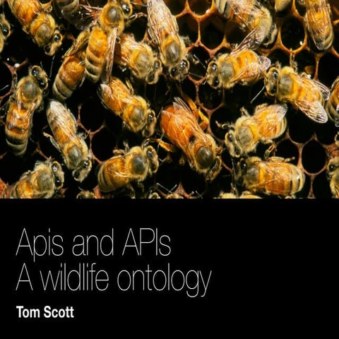Apis And APIs a wildlife ontology | KEY