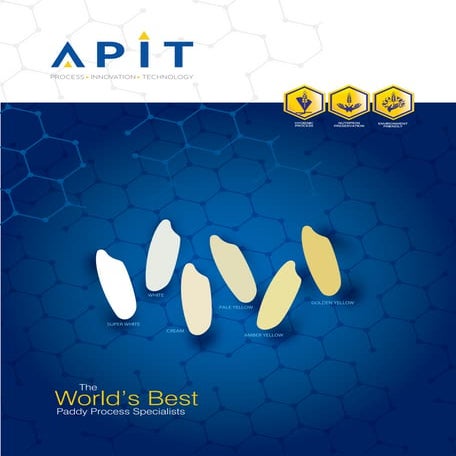APIT -Worlds Best Par Boiling Specialists | PDF