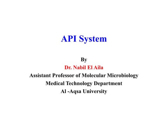 Api20 e(1) | PDF