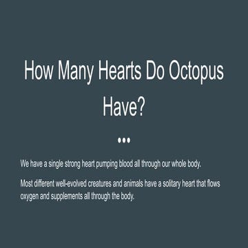 How Many Hearts Do Octopus Have? | PDF