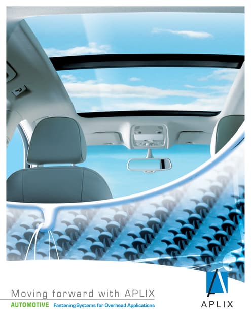 Aplix Inc. presentations