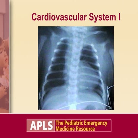 Apls Cardiovascular System | PPT