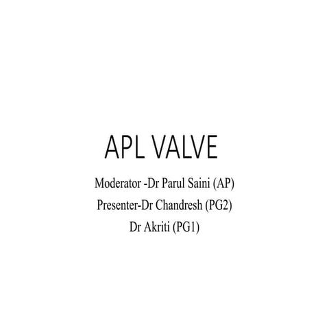 APL VALVE-WPS Office emergence djfndsnsdv.pptx