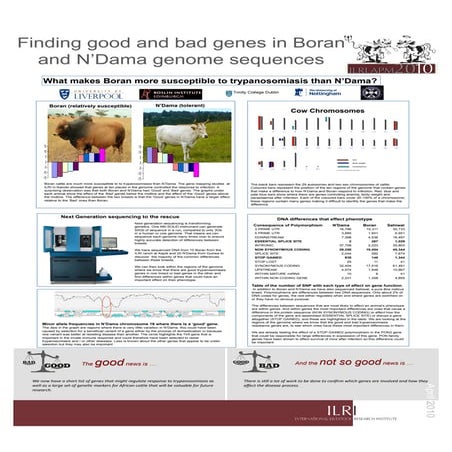 Genome Wide Methodologies and Future Perspectives | PPTX
