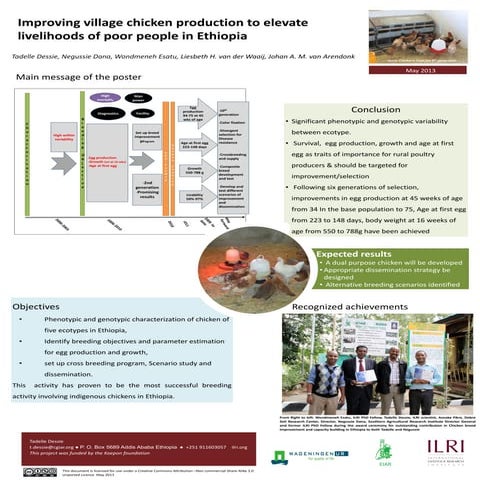 Improving village chicken production to elevate livelihoods of poor ...