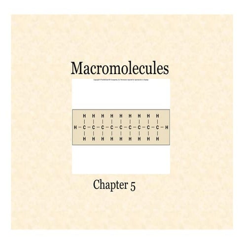 AP Macromolecule Lecture for Advanced Placement Biology | PDF