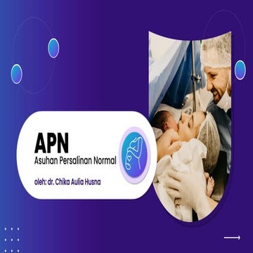 60 langkah apn | PDF