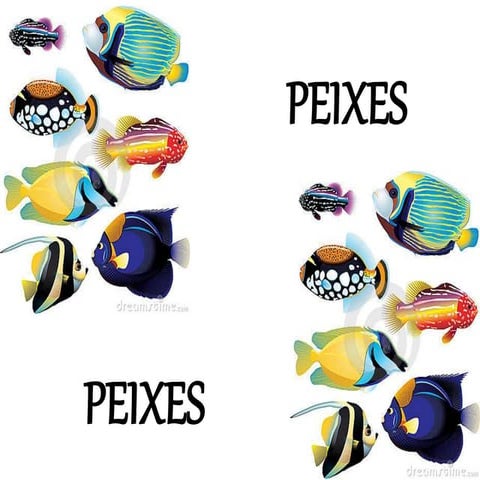 Peixes - Ensino Fundamental | PPTX