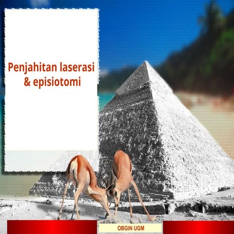 APN_Penjahitan_laserasi_and_episiotomi.ppt