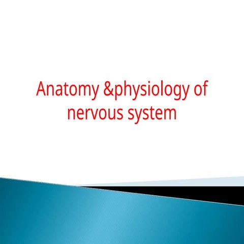 anatomy&physiology of nervous system.pptx