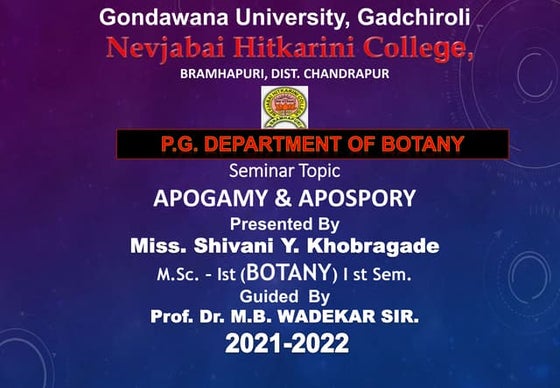 Synergids and its functions , reproductive biology of angiosperms | PPT