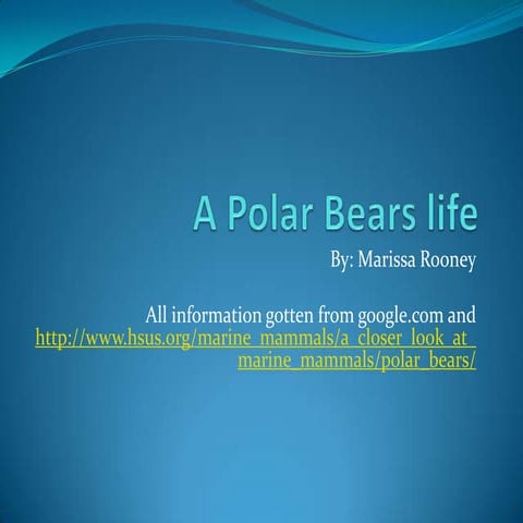 A Polar Bears Life | PPTX