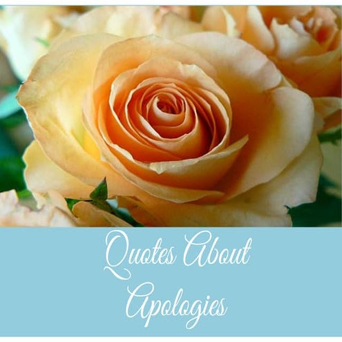Apology Quotes | PDF