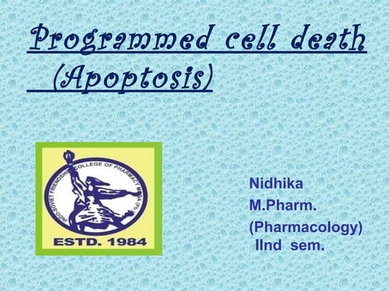 Intrinsic and Extrinsic Pathway of Apoptosis | PPT