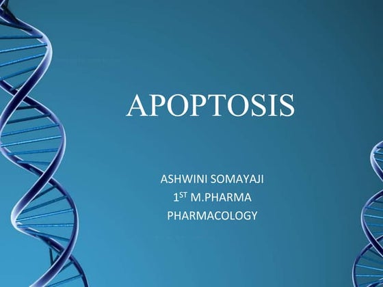 Intrinsic and Extrinsic Pathway of Apoptosis | PPT