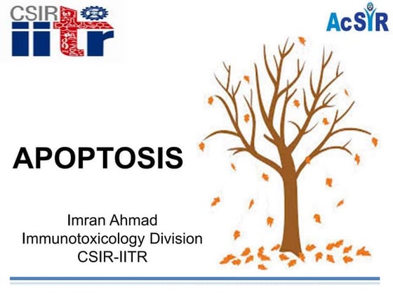 Nutrition in bacteria | PPT