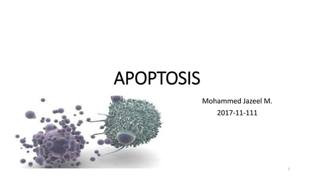 Apoptosis: Programmed Cell Death | PDF