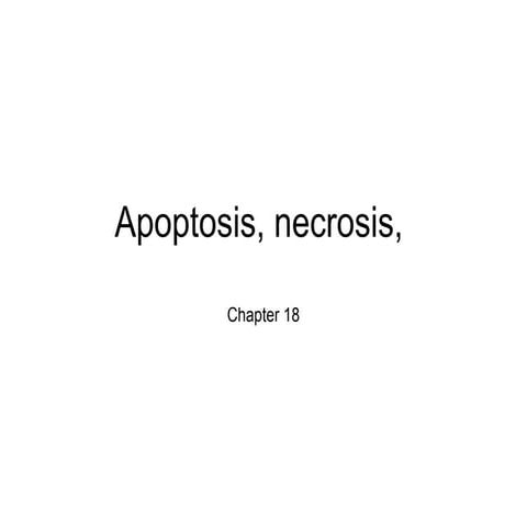 Apoptosis | PPT