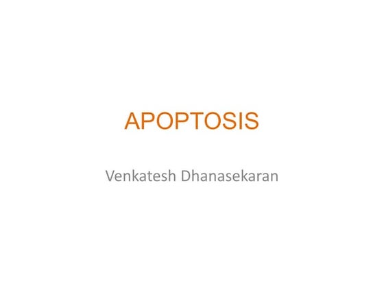 Intrinsic and Extrinsic Pathway of Apoptosis | PPT