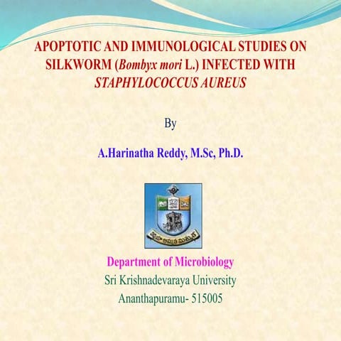 Physiological aspects of insect Immunology | PPTX