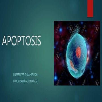 apoptosisII.pdf