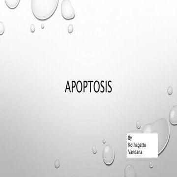 APOPTOSIS | PPT