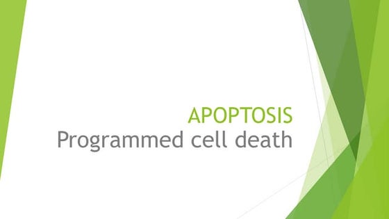 Apoptosis-The-Programmed-Cell-Death.pptx