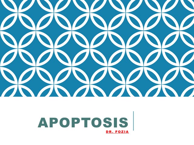 Apoptosis: Programmed Cell Death | PDF