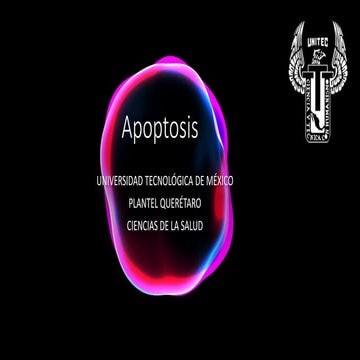 Apoptosis, muerte celular programada, puntos clave y tipos de apoptosis ...