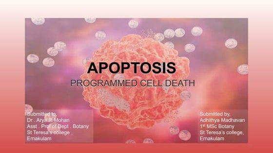 Intrinsic and Extrinsic Pathway of Apoptosis | PPT