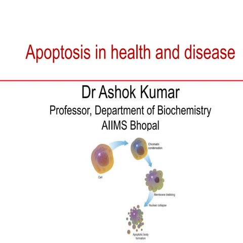 Apoptosis under physiological conditions and diseases | PPTX