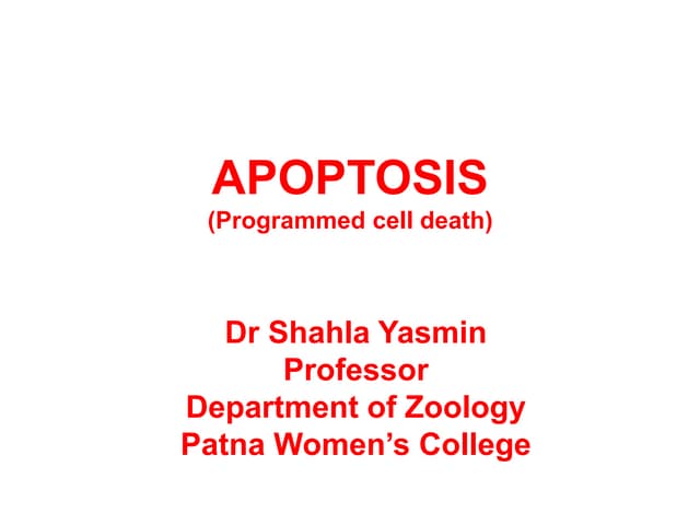 Apoptosis: Programmed Cell Death | PDF