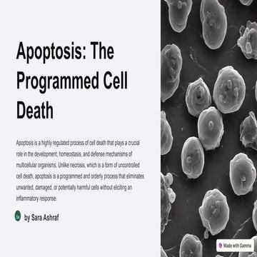 Apoptosis-The-Programmed-Cell-Death.pptx